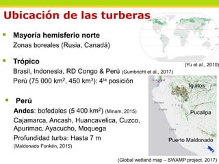 La importancia de las turberas en un contexto global y nacional | PPTX