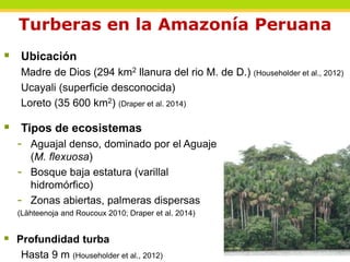 La importancia de las turberas en un contexto global y nacional | PPTX
