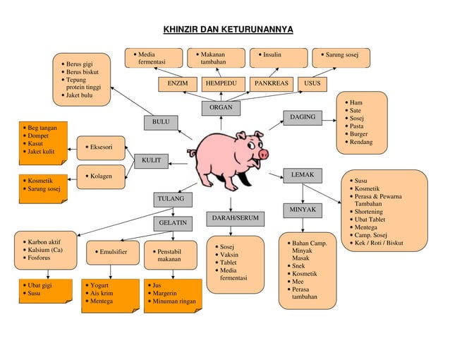 Khinzir Dan Kemana Digunakan | PDF