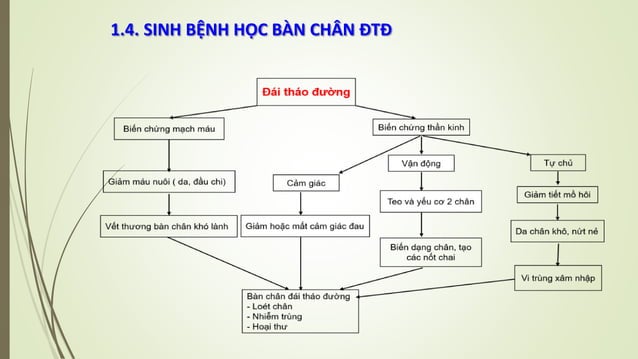 Khám bàn chân ĐTĐ Y3 (2. 12. 2021).pptx