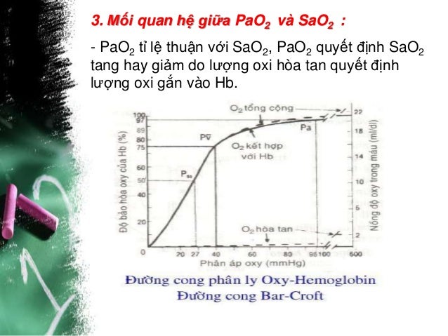 Khí máu động mạch