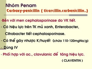 Kháng sinh nhóm Betalactam | PDF