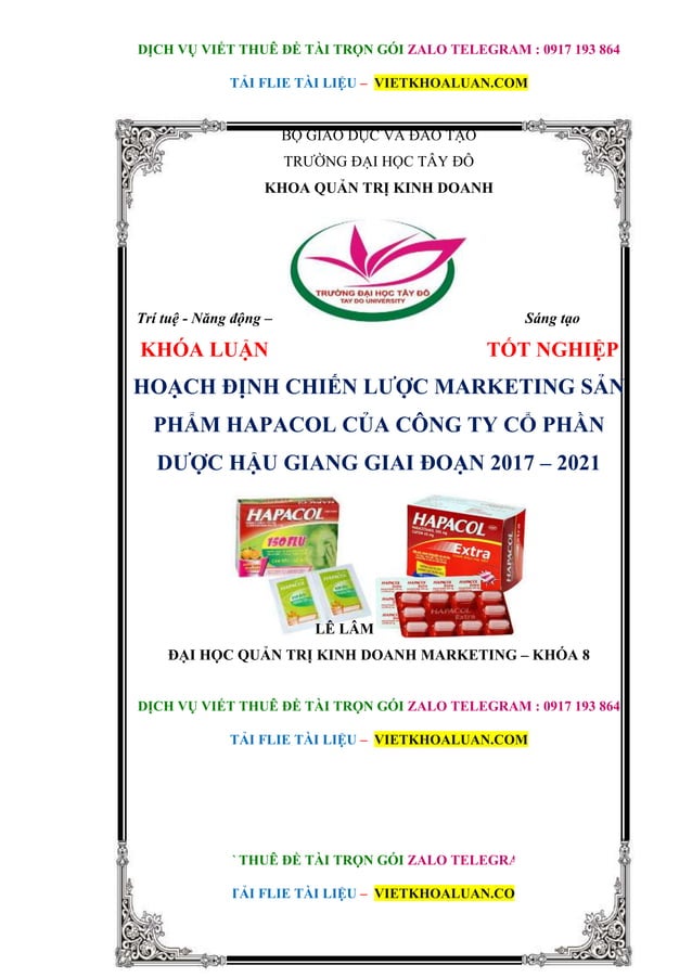 Khoá Luận Hoạch Định Chiến Lược Marketing Sản Phẩm Hapacol Của Công Ty. | DOCX