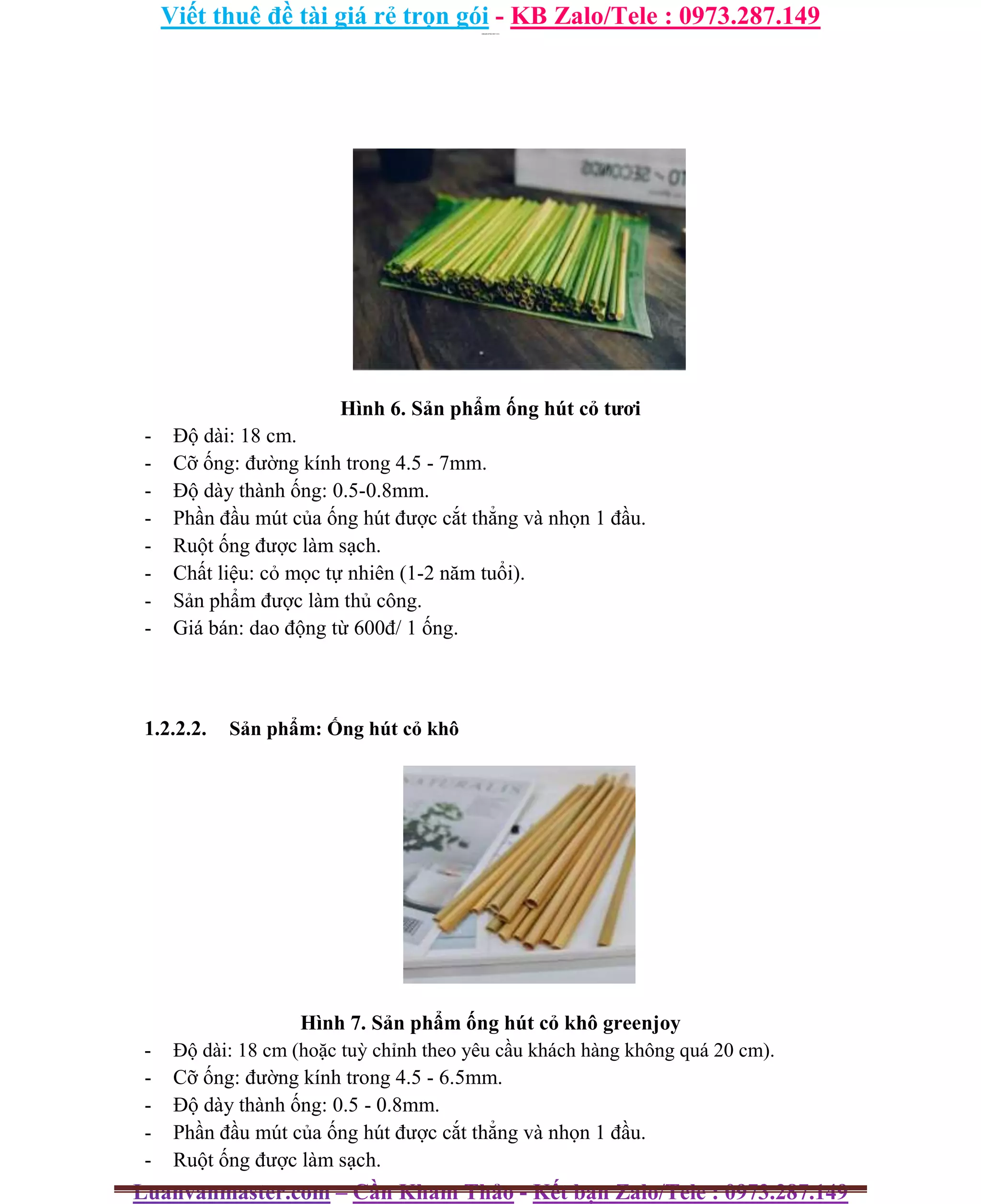 Kế hoạch marketing cho ống hút cỏ của Greenjoy tại thị trường Hà Nội ...