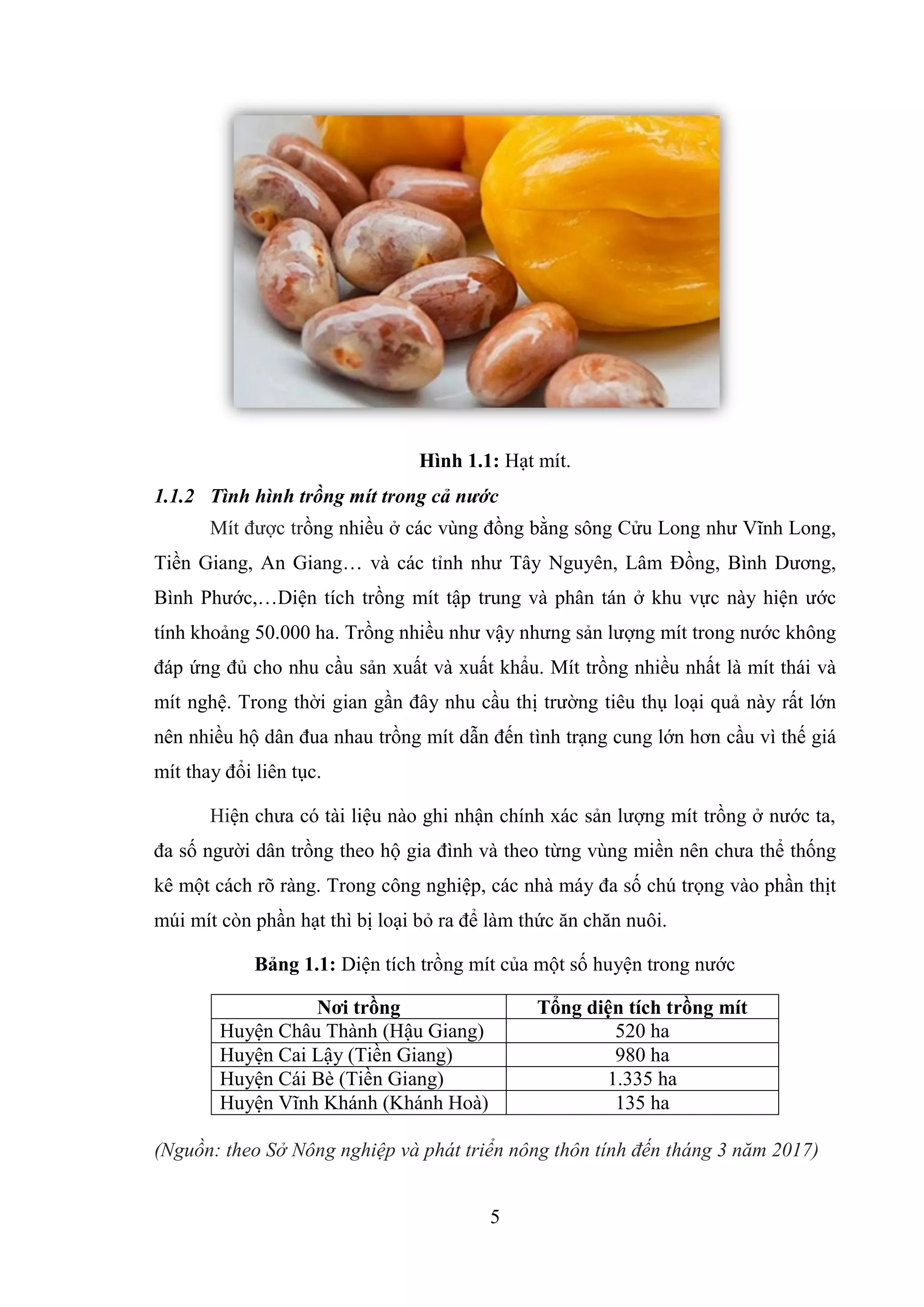 Khảo sát quy trình chế biến bột hạt mít và ứng dụng trong sản xuất bánh cookie quy mô phòng thí ...