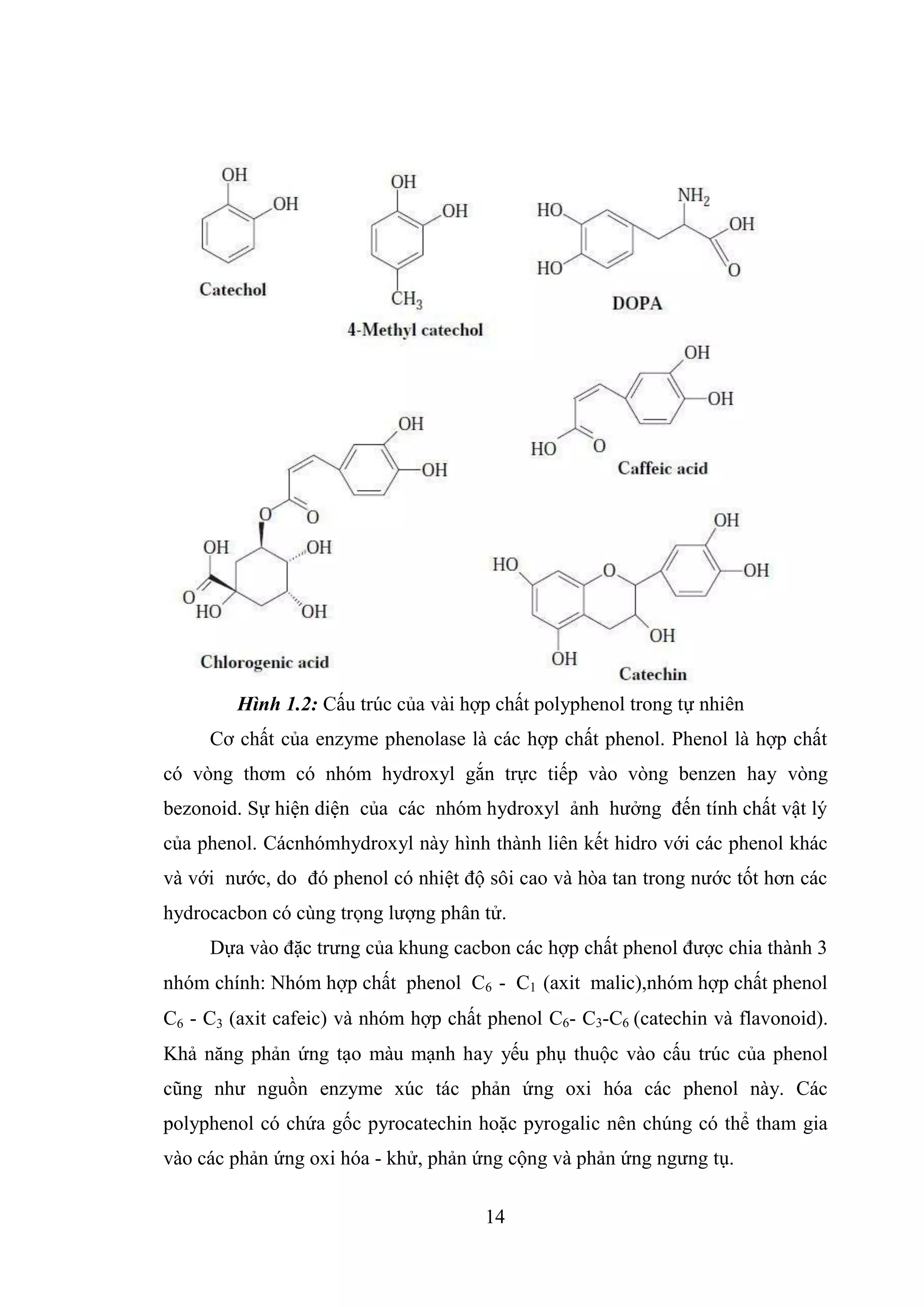 Khảo sát quy trình chế biến bột hạt mít và ứng dụng trong sản xuất bánh cookie quy mô phòng thí ...