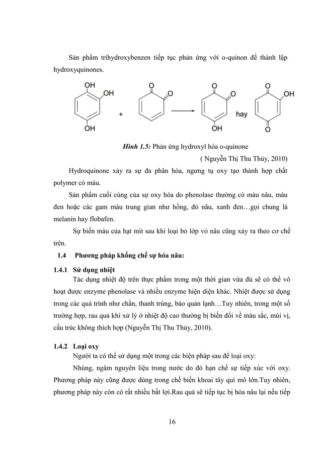 Khảo sát quy trình chế biến bột hạt mít và ứng dụng trong sản xuất bánh cookie quy mô phòng thí ...