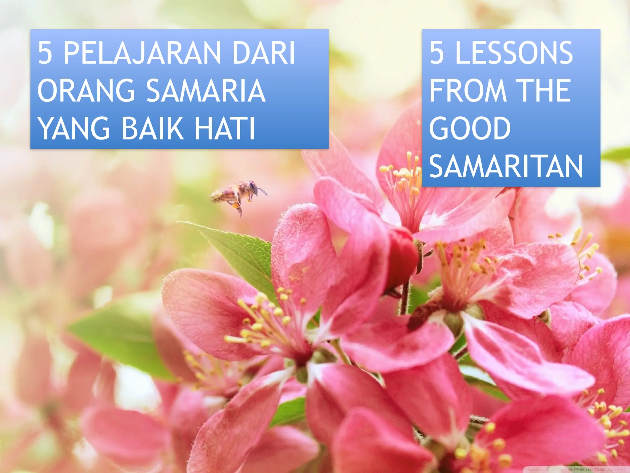 Khotbah Rohani Orang Samaria yang Baik Hati untuk TKK.pptx