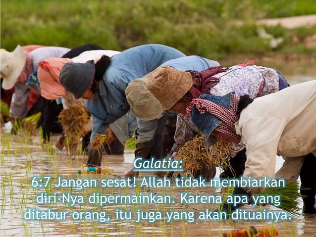 Khotbah Rohani Persembahan Janda Miskin | PPTX