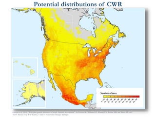 Conservation and Use of the North American Plant Cornucopia: The Way ...