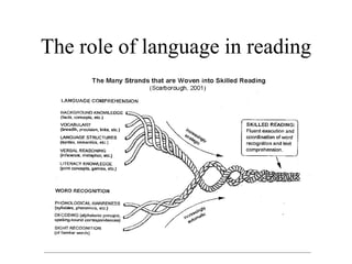 Kindergarten Beginning Literacy Activities | PPT