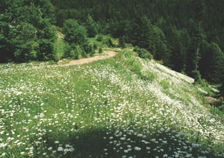 Khulo Municipality | PDF