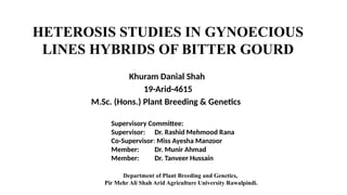 Khuram synopsis on bitter gourd lines on heterosis | PPTX