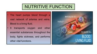 FUNCTIONS OF BLOOD PART I AND PART 2 WHOLE | PPTX
