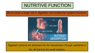 FUNCTIONS OF BLOOD PART I AND PART 2 WHOLE | PPTX