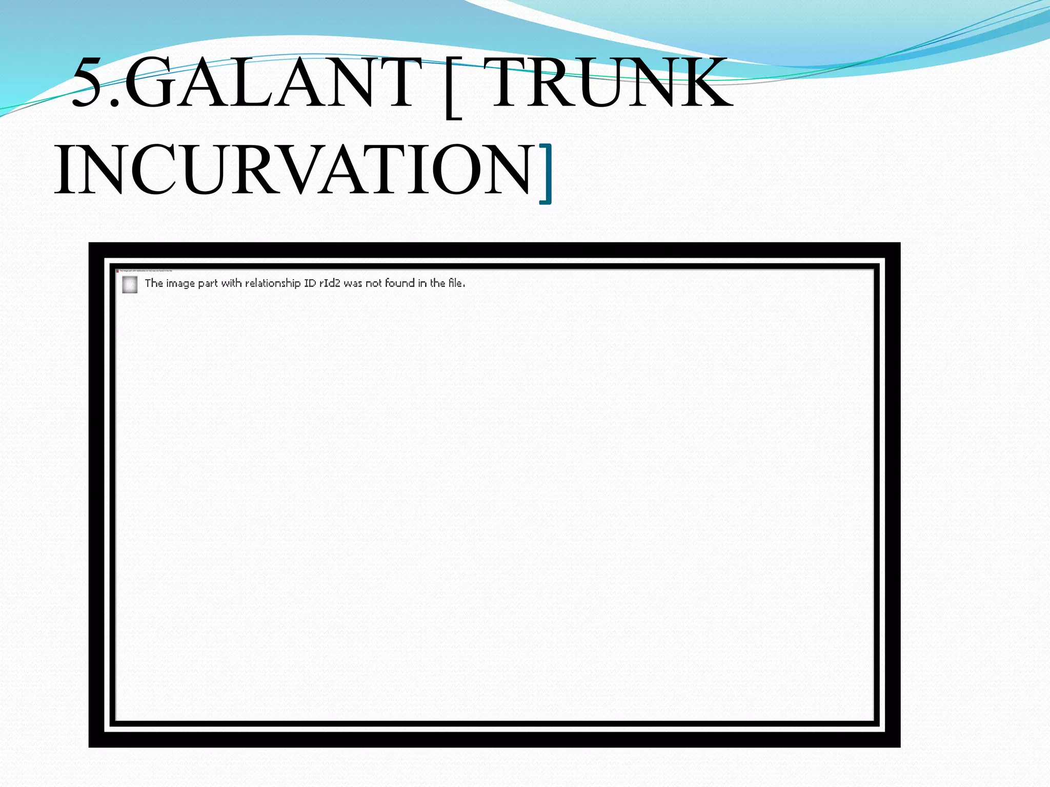 immediate new born care | PPTX