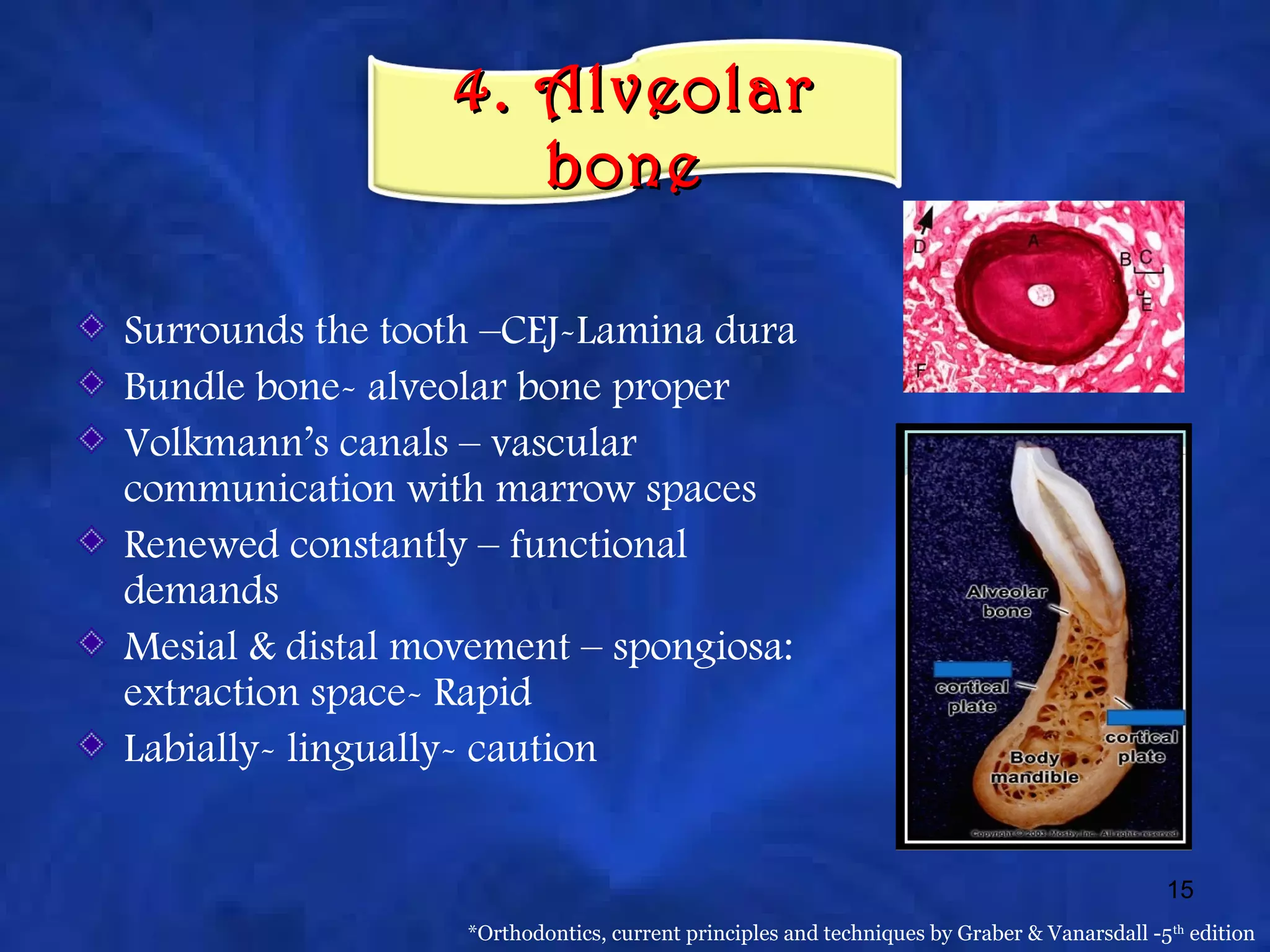 biology of tooth movement | PPT