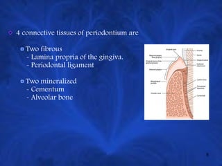 biology of tooth movement | PPT