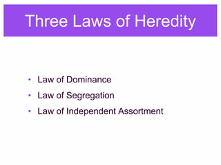 Mendel's LAW | PPT
