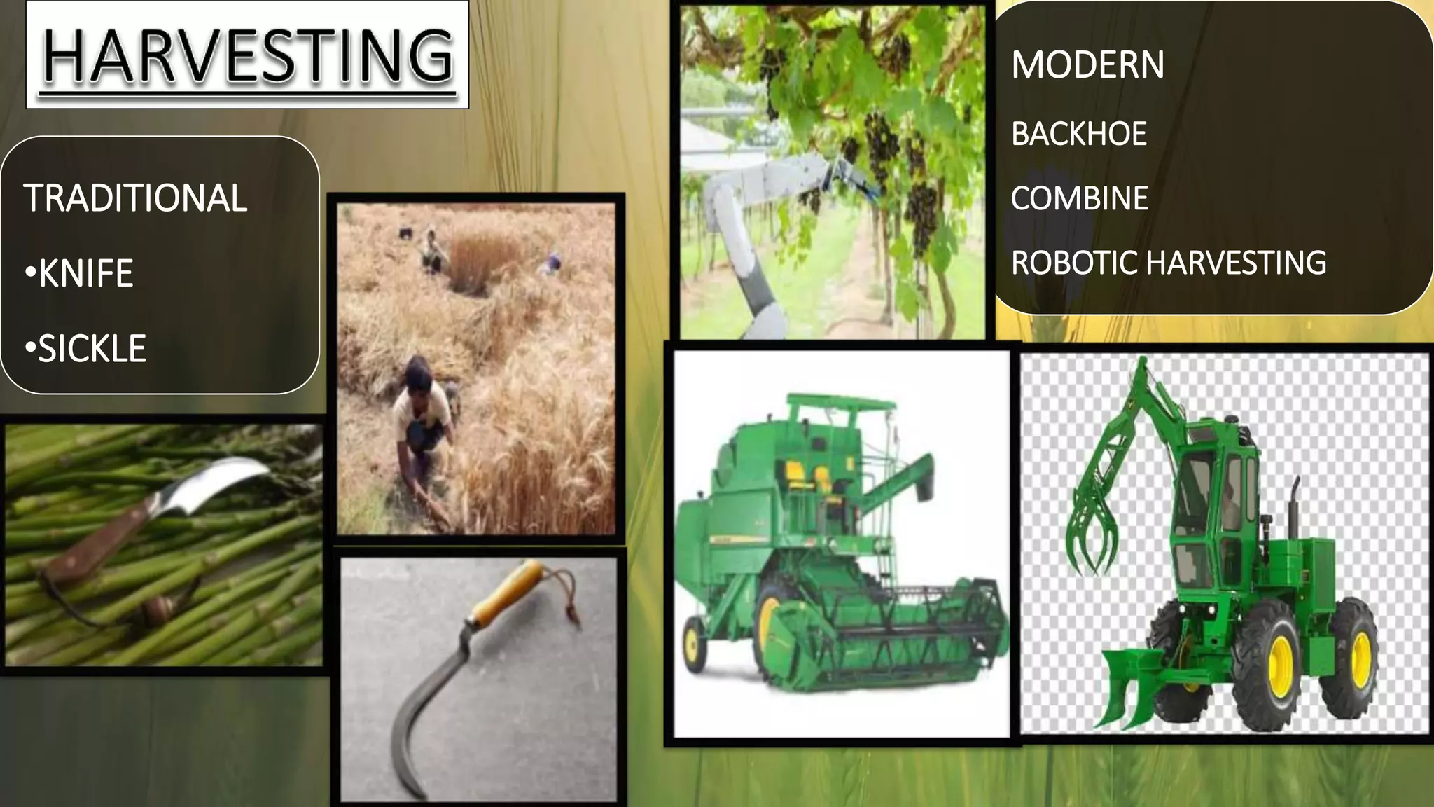 TRADTIONAL AND MODERN AGRICULTURE | PPTX