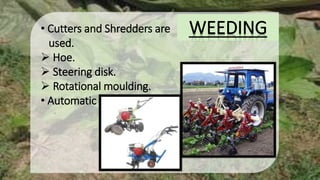 TRADTIONAL AND MODERN AGRICULTURE | PPTX