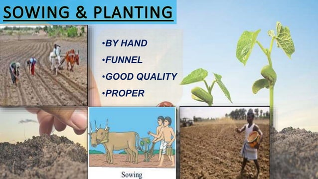 TRADTIONAL AND MODERN AGRICULTURE | PPTX