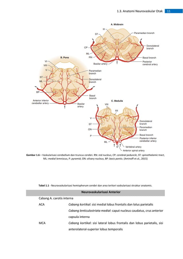 buku tentang terbaru stroke iskemik akut ebook.pdf