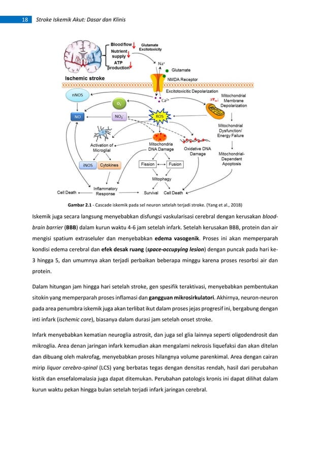 buku tentang terbaru stroke iskemik akut ebook.pdf