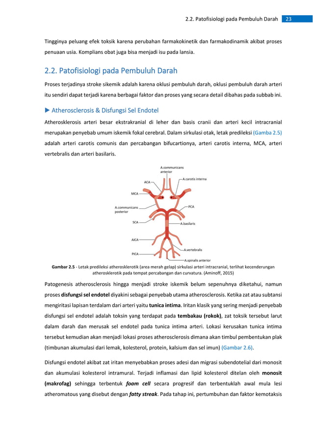 buku tentang terbaru stroke iskemik akut ebook.pdf