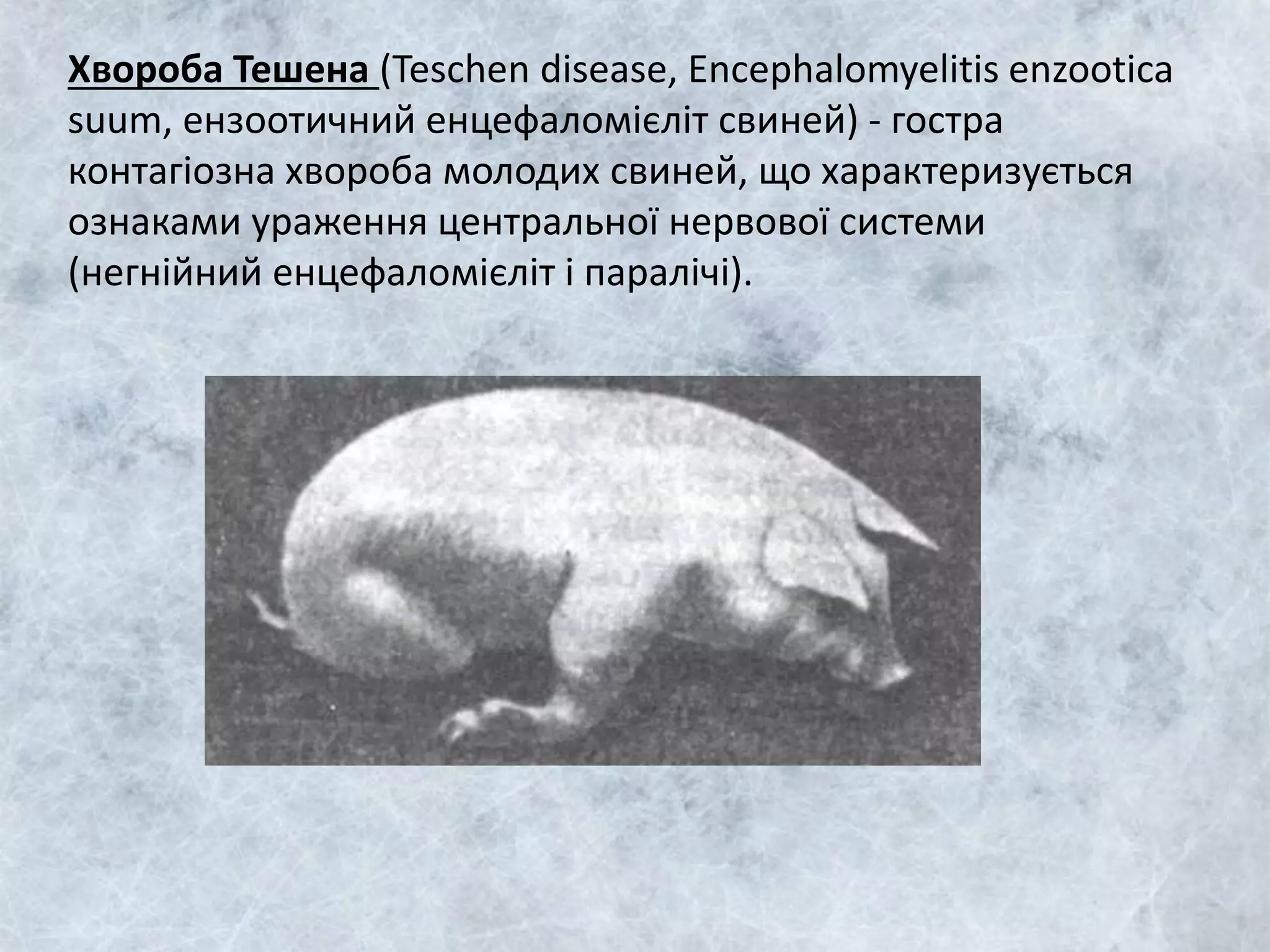Khvoroba teshena | PPTX