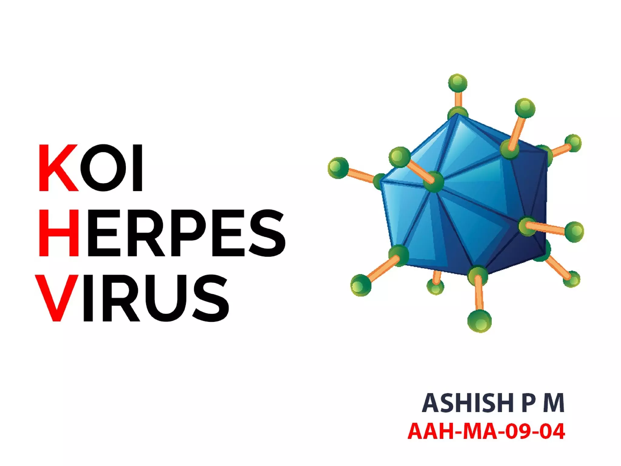 Koi Herpes Virus (KHV) | PDF