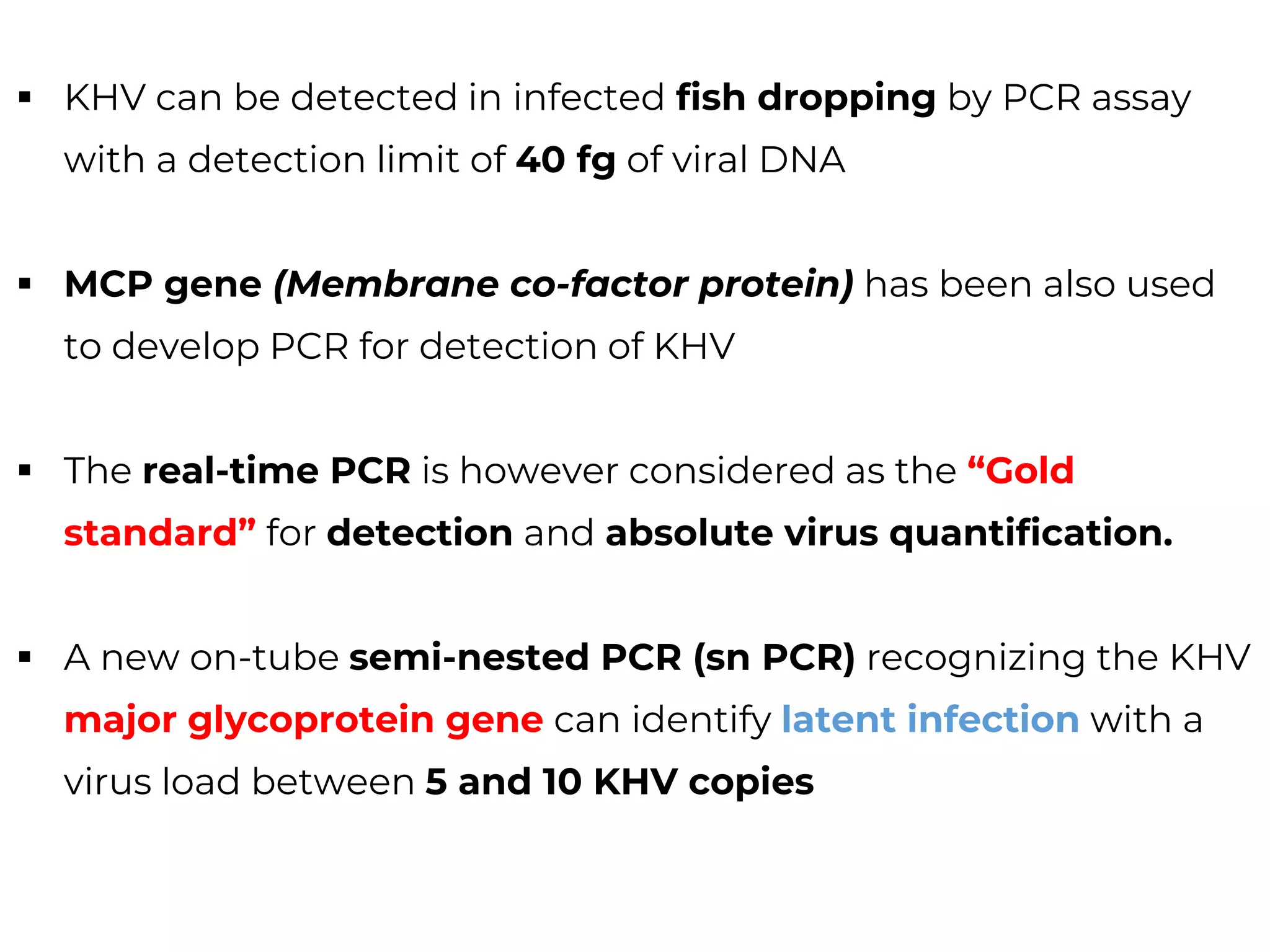 Koi Herpes Virus (KHV) | PDF