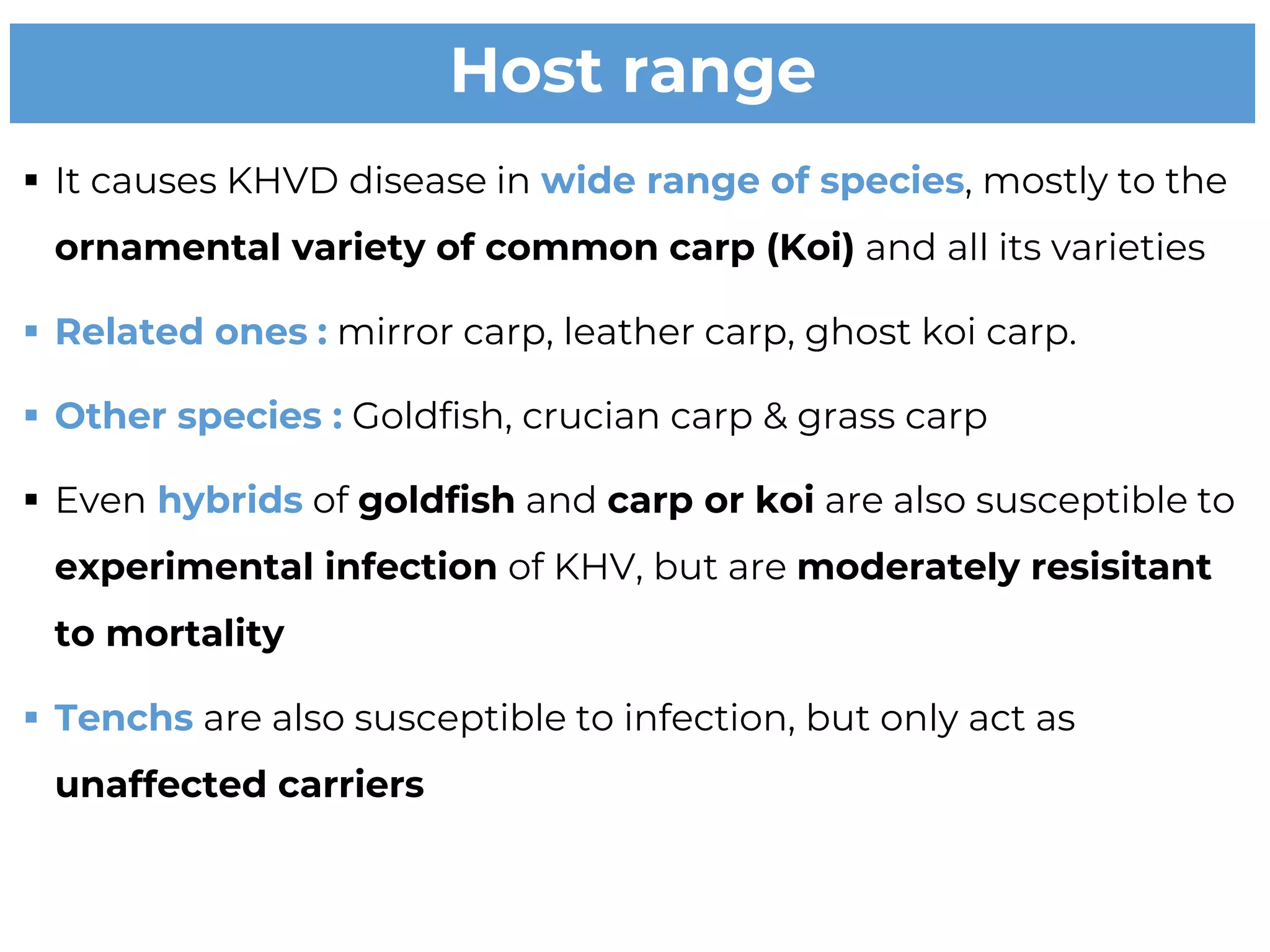 Koi Herpes Virus (KHV) | PDF