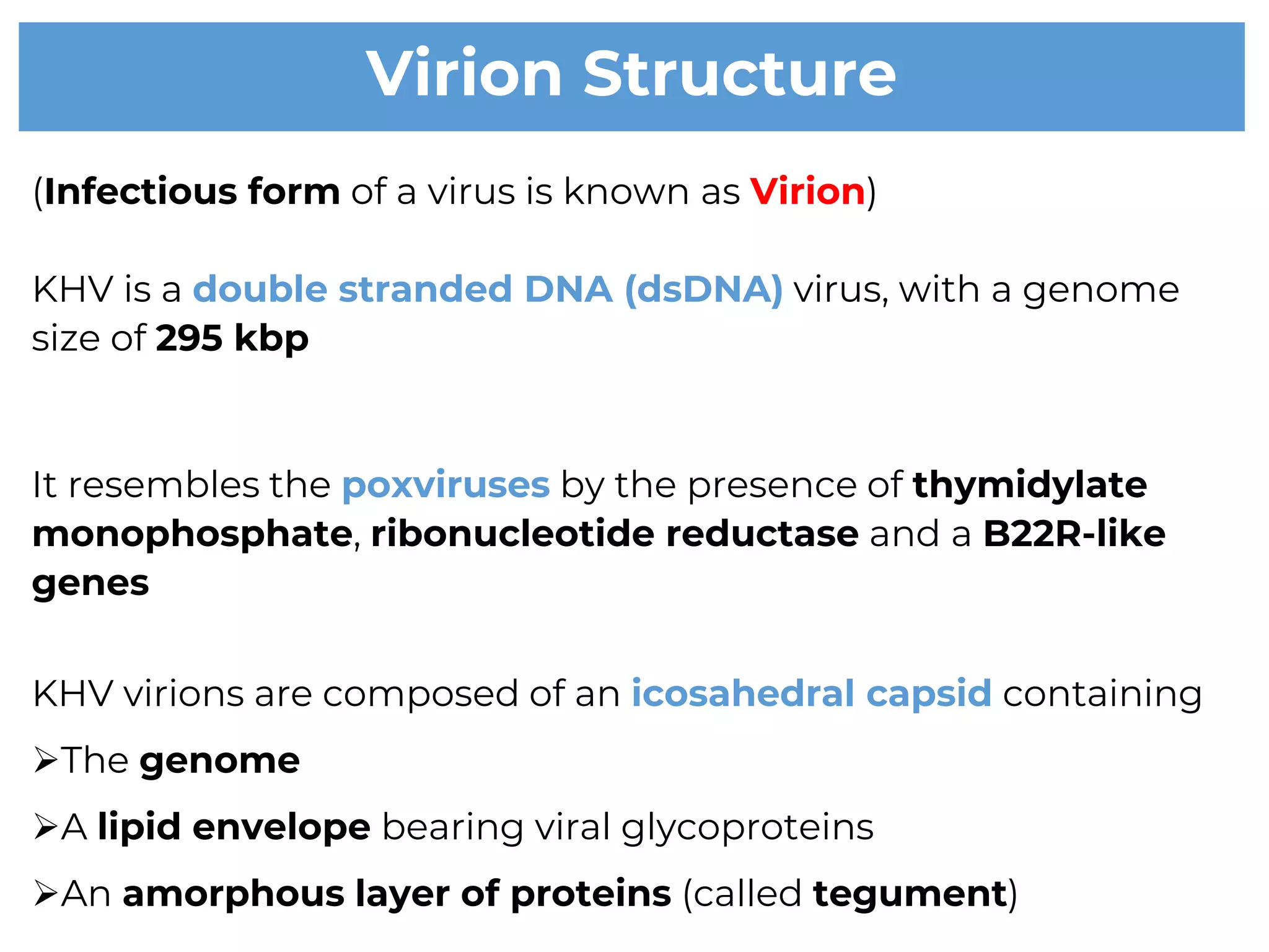 Koi Herpes Virus (KHV) | PDF