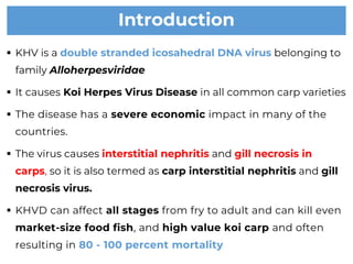 Koi Herpes Virus (KHV) | PDF