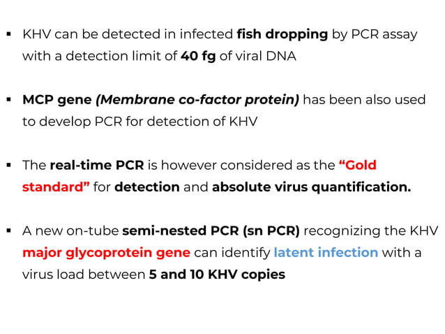 Koi Herpes Virus (KHV) | PDF