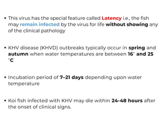 Koi Herpes Virus (KHV) | PDF