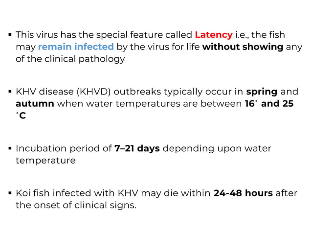 Koi Herpes Virus (KHV) | PDF