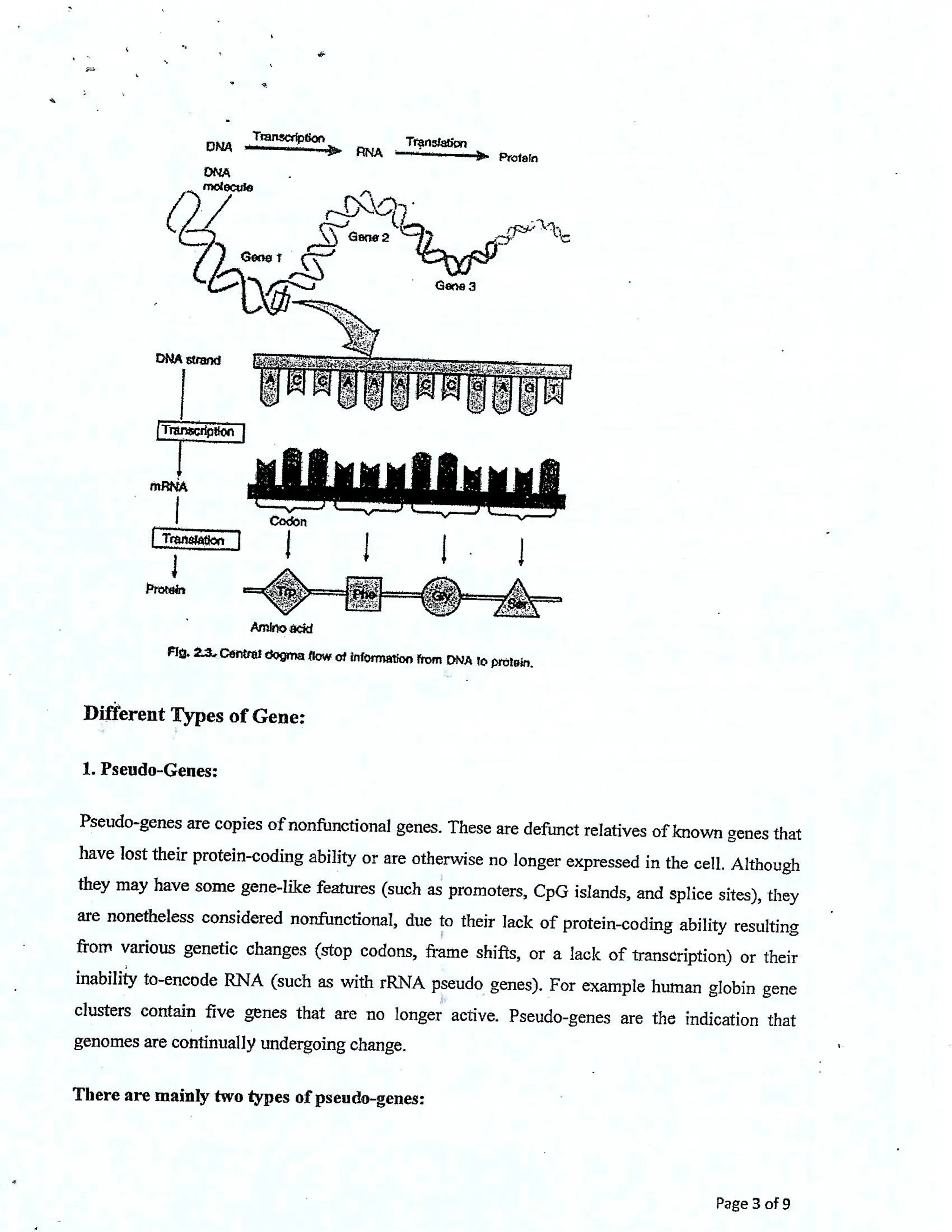 one gene one enzyme.pdf