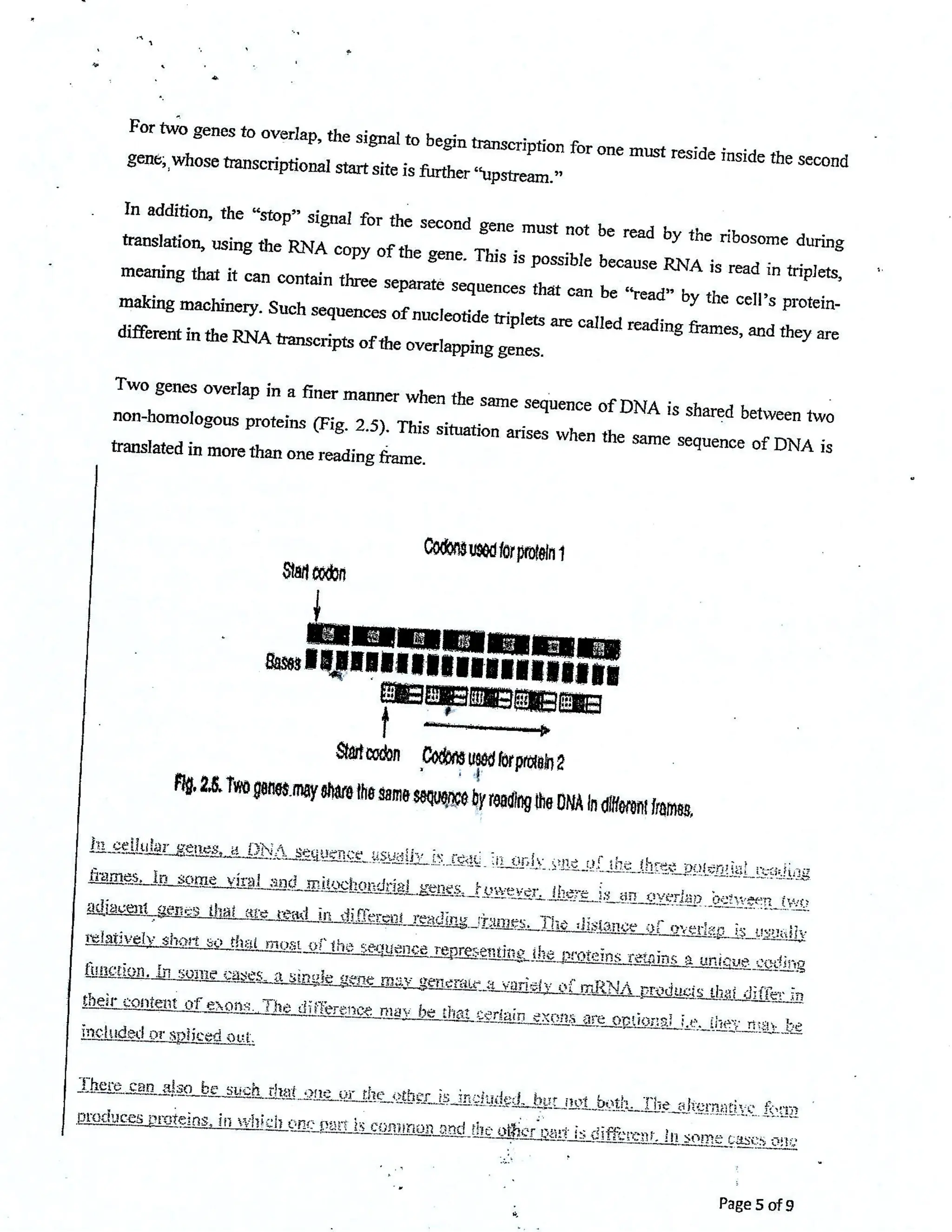 one gene one enzyme.pdf