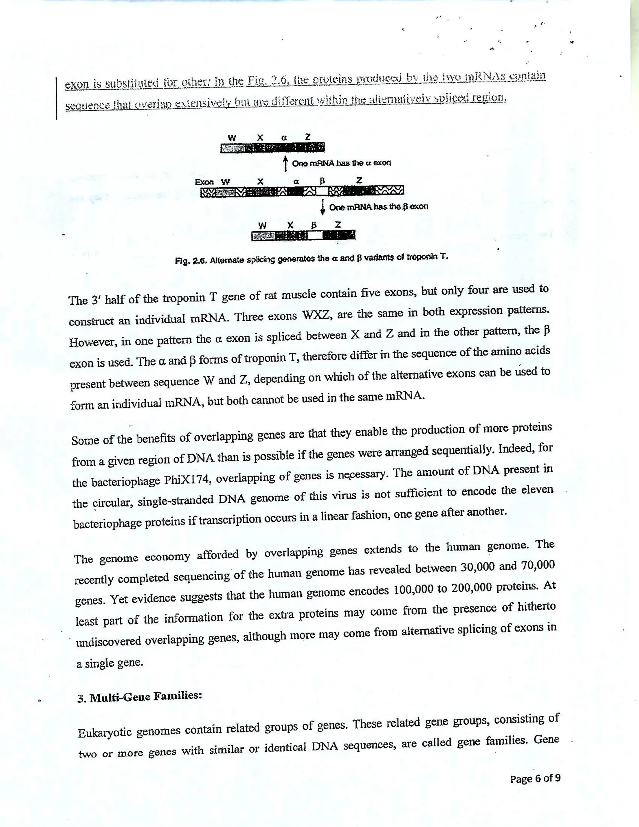 one gene one enzyme.pdf