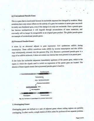 one gene one enzyme.pdf | Genetics | Science