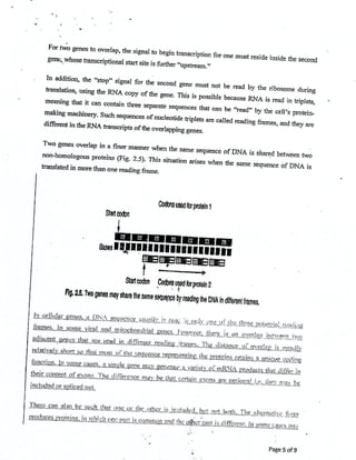 one gene one enzyme.pdf | Genetics | Science