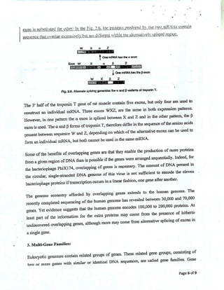 one gene one enzyme.pdf