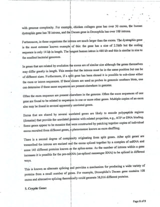 one gene one enzyme.pdf