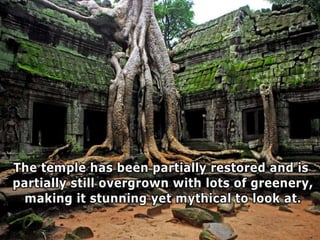 Visiting Siem Reap, Cambodia - Gateway to Angkor - Itinerary ...
