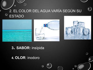 el agua y sus propiedades | PPTX