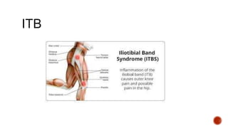 Instruments Assisted Soft Tissue Mobilization | PPTX
