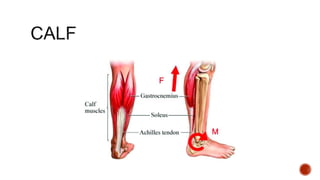 Instruments Assisted Soft Tissue Mobilization | PPTX | Death, Injury ...