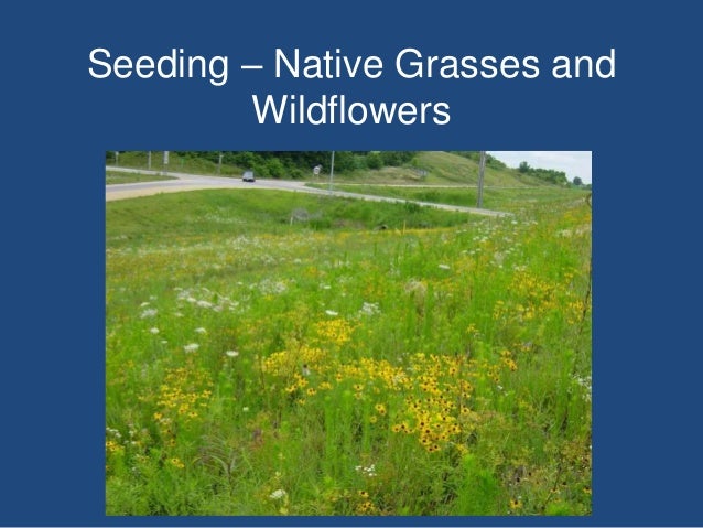 Roadside Beautification Opportunities (2015 Keep Iowa Beautiful Annua…